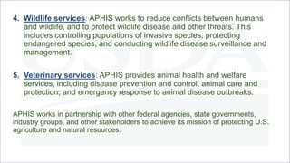 How US Department of Agriculture Works(USDA.pptx