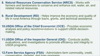 How US Department of Agriculture Works(USDA.pptx