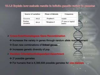 4 Genetics - How variability is produced in a population | PPTX ...
