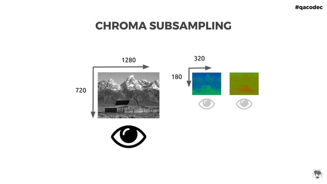 How video codec work | PPT