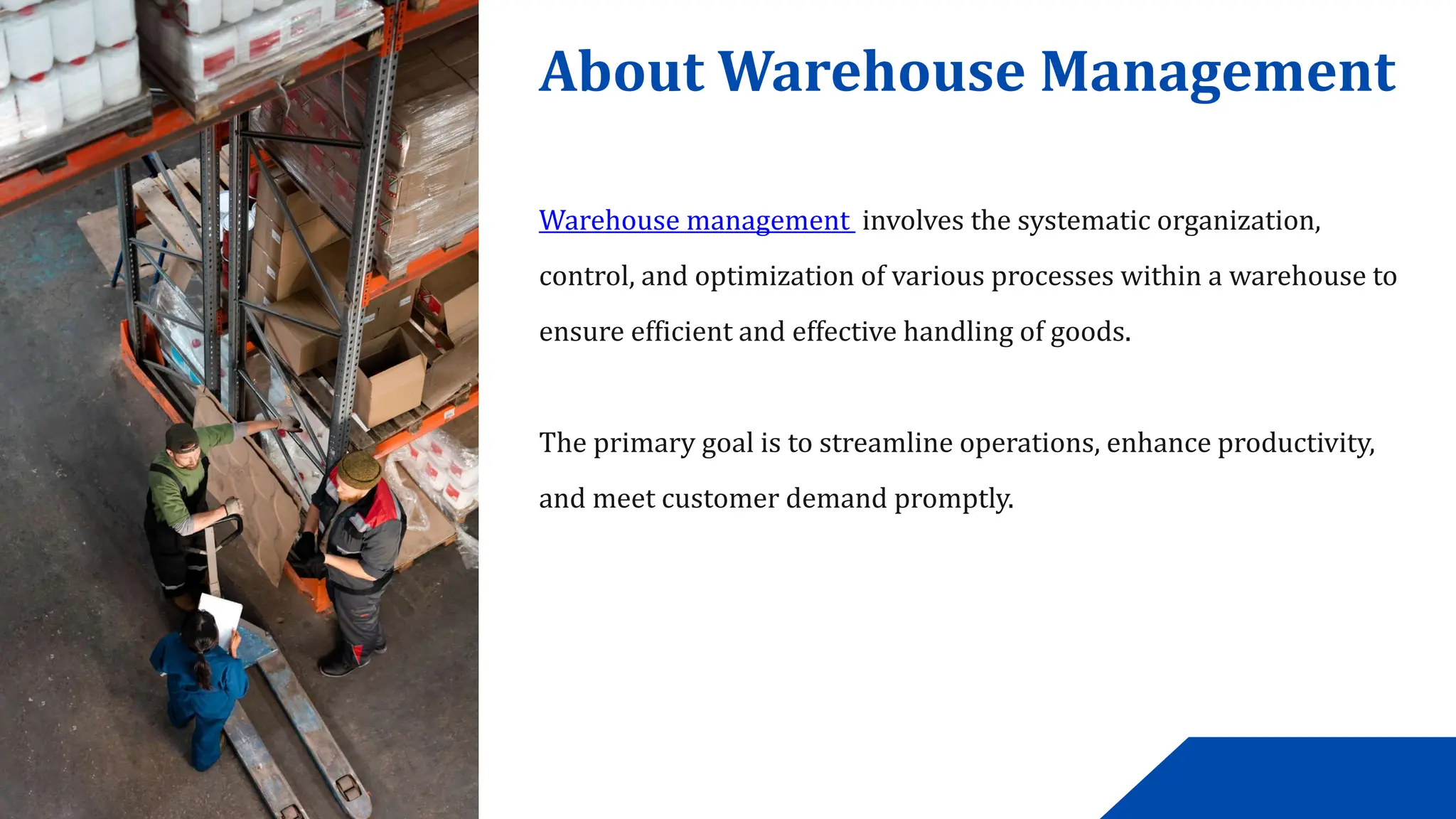 A Comprehensive Guide to Warehouse Management Systems | PPTX