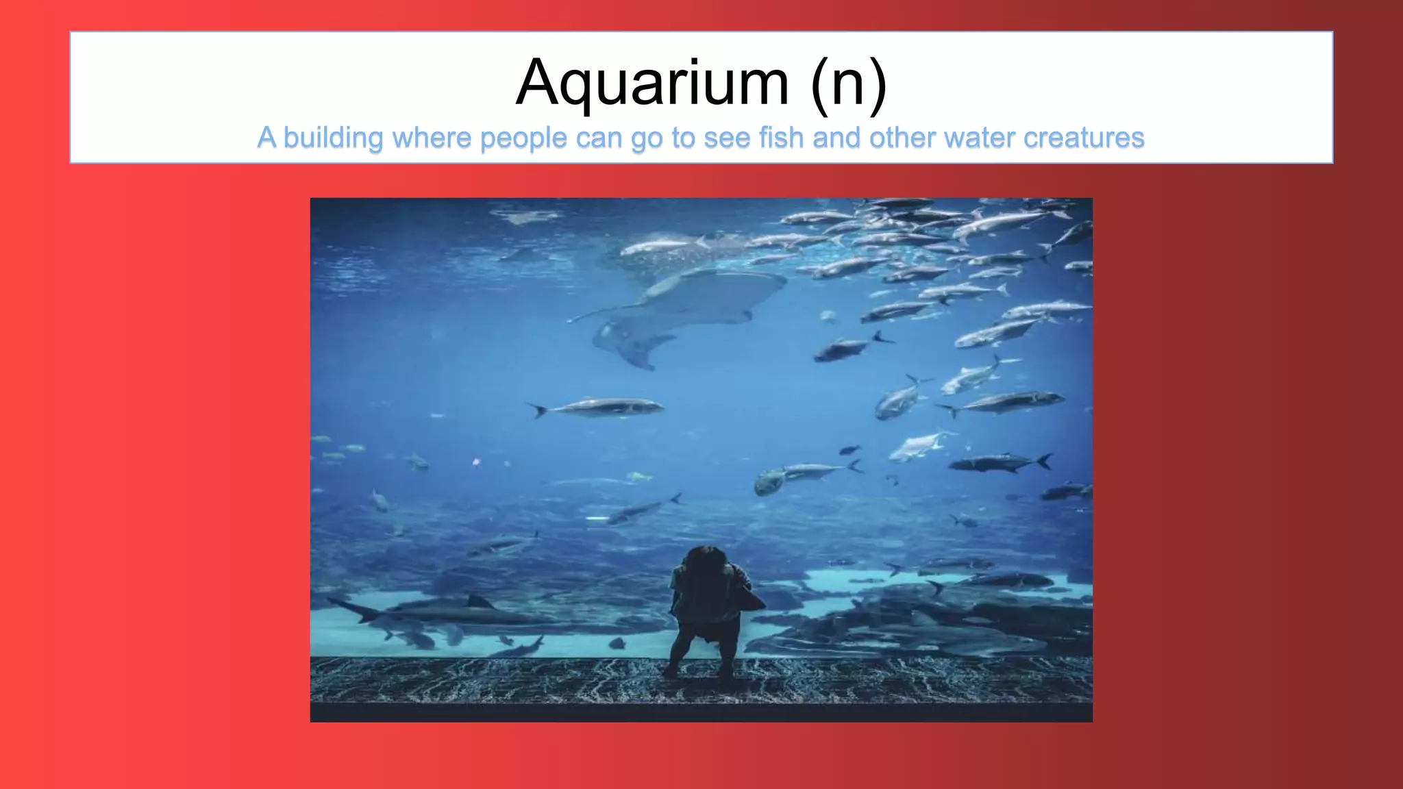 How was your weekend.pptx