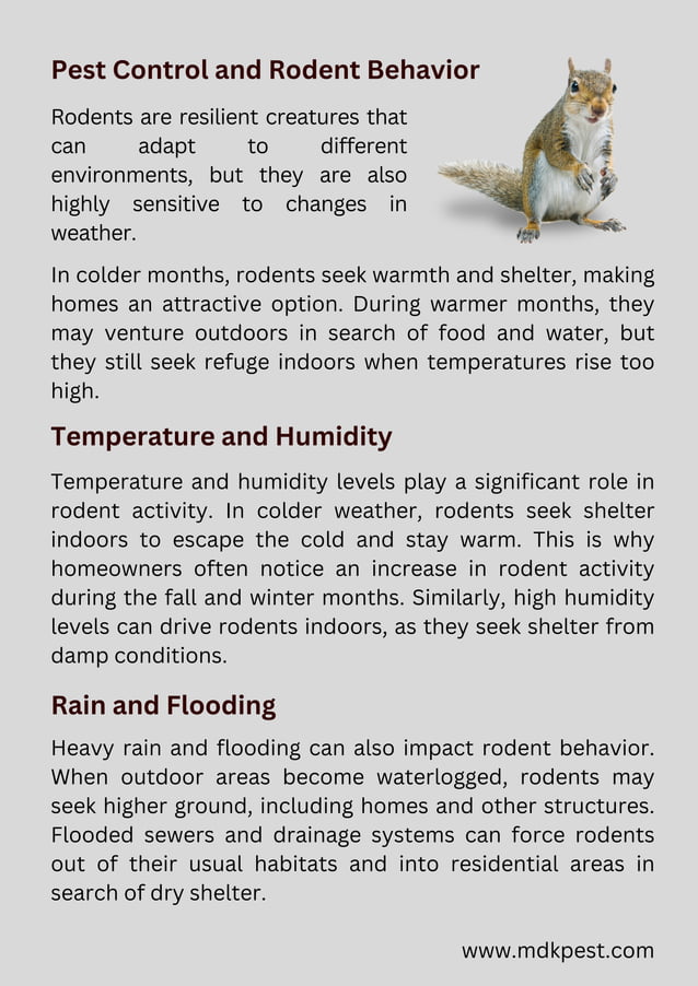How Weather Conditions Affect Rodent Activity in Your Home? | PDF
