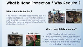 How We Protect Our Hand From Hazards in Our Daily Life | PPTX | First ...
