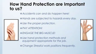 How We Protect Our Hand From Hazards in Our Daily Life | PPTX | First ...