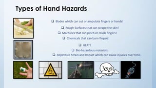 How We Protect Our Hand From Hazards in Our Daily Life | PPTX | First ...
