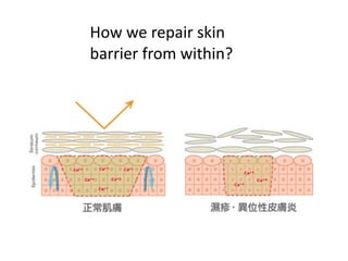 How we repair from within animation | KEY