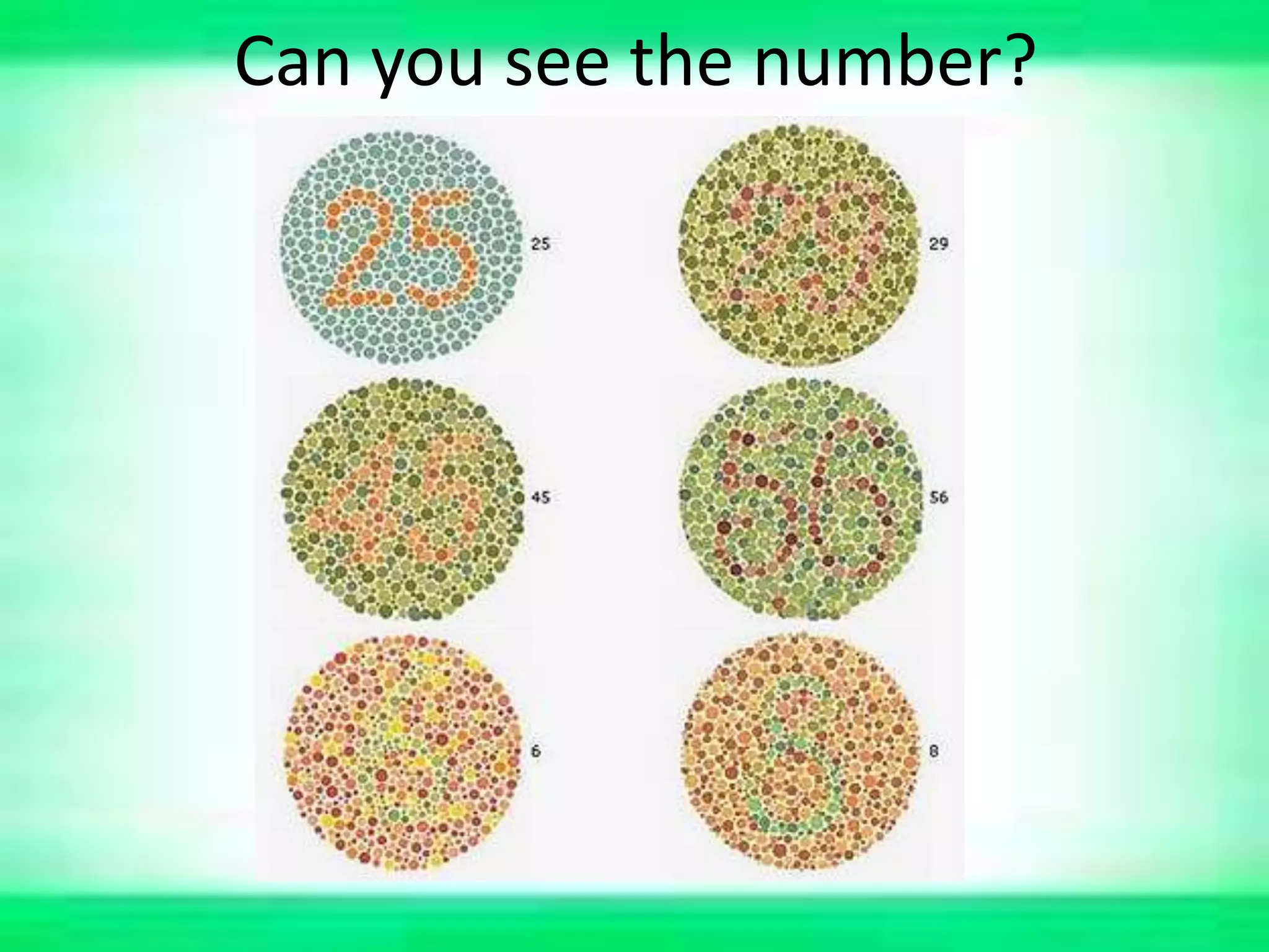 How we see things | PPTX