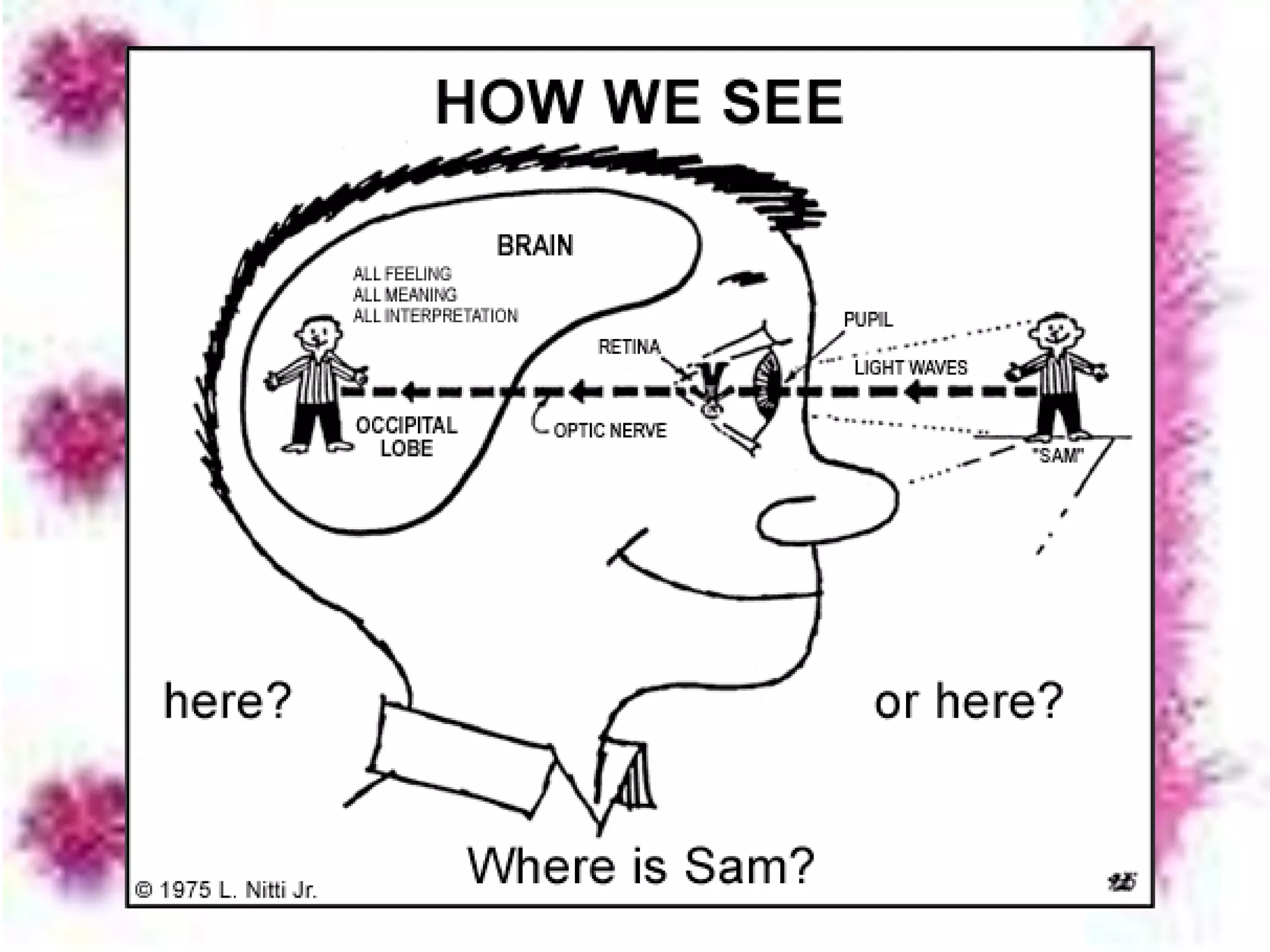 How we see things | PPTX