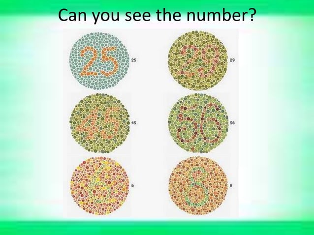 How we see things | PPTX