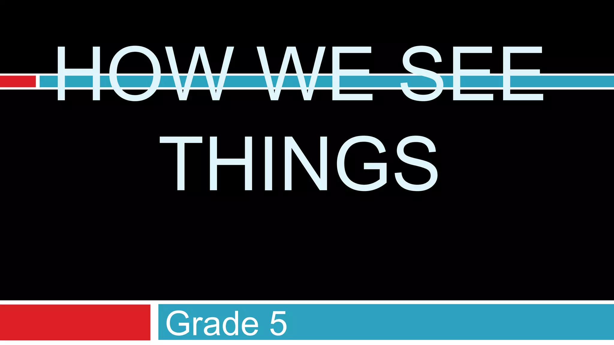 How we see things (grade 5) | PPT | Physics | Science