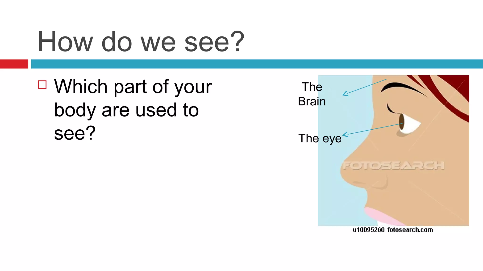 How we see things (grade 5) | PPT