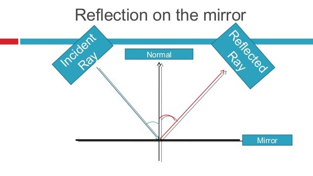 How we see things (grade 5)