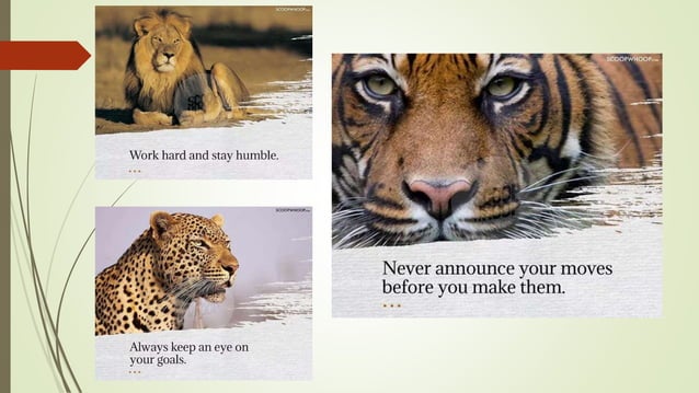 How wild animals educate us to be civilized | PPT