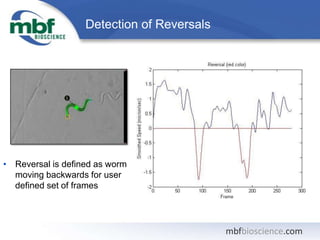 How WormLab Works | PPTX