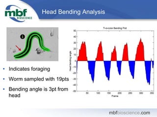 How WormLab Works | PPTX