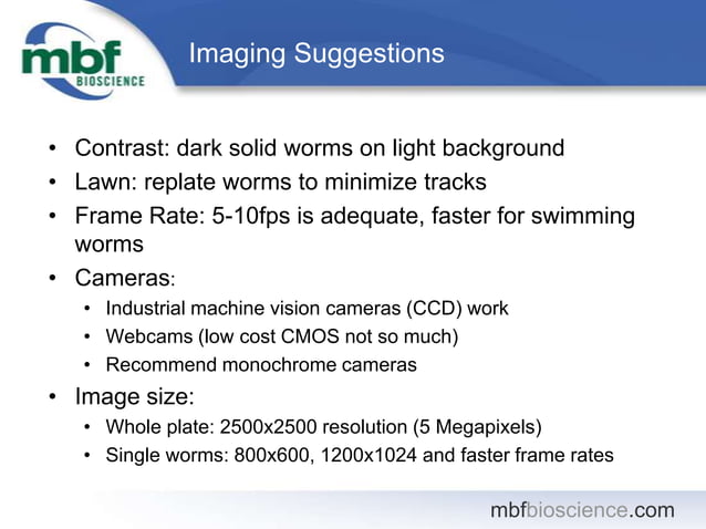 How WormLab Works | PPTX | Web Development | Internet