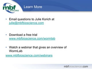 How WormLab Works | PPTX