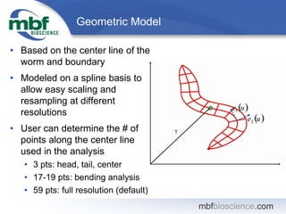 How WormLab Works | PPTX