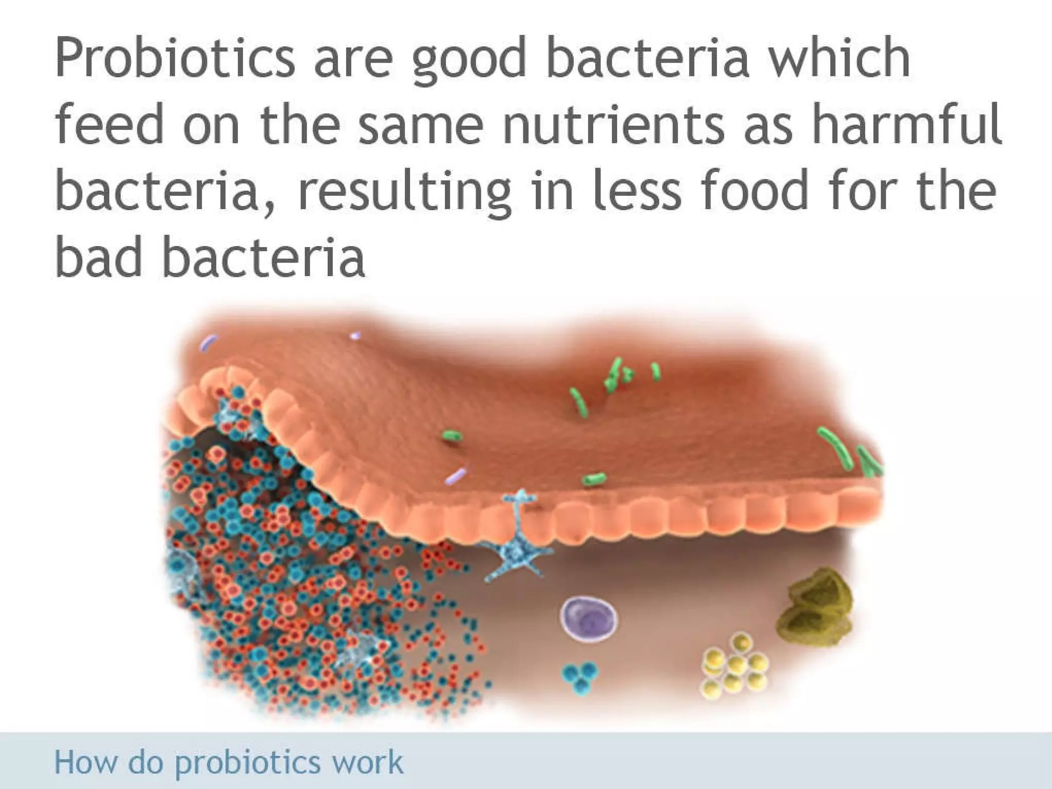 How probiotics work | PPT