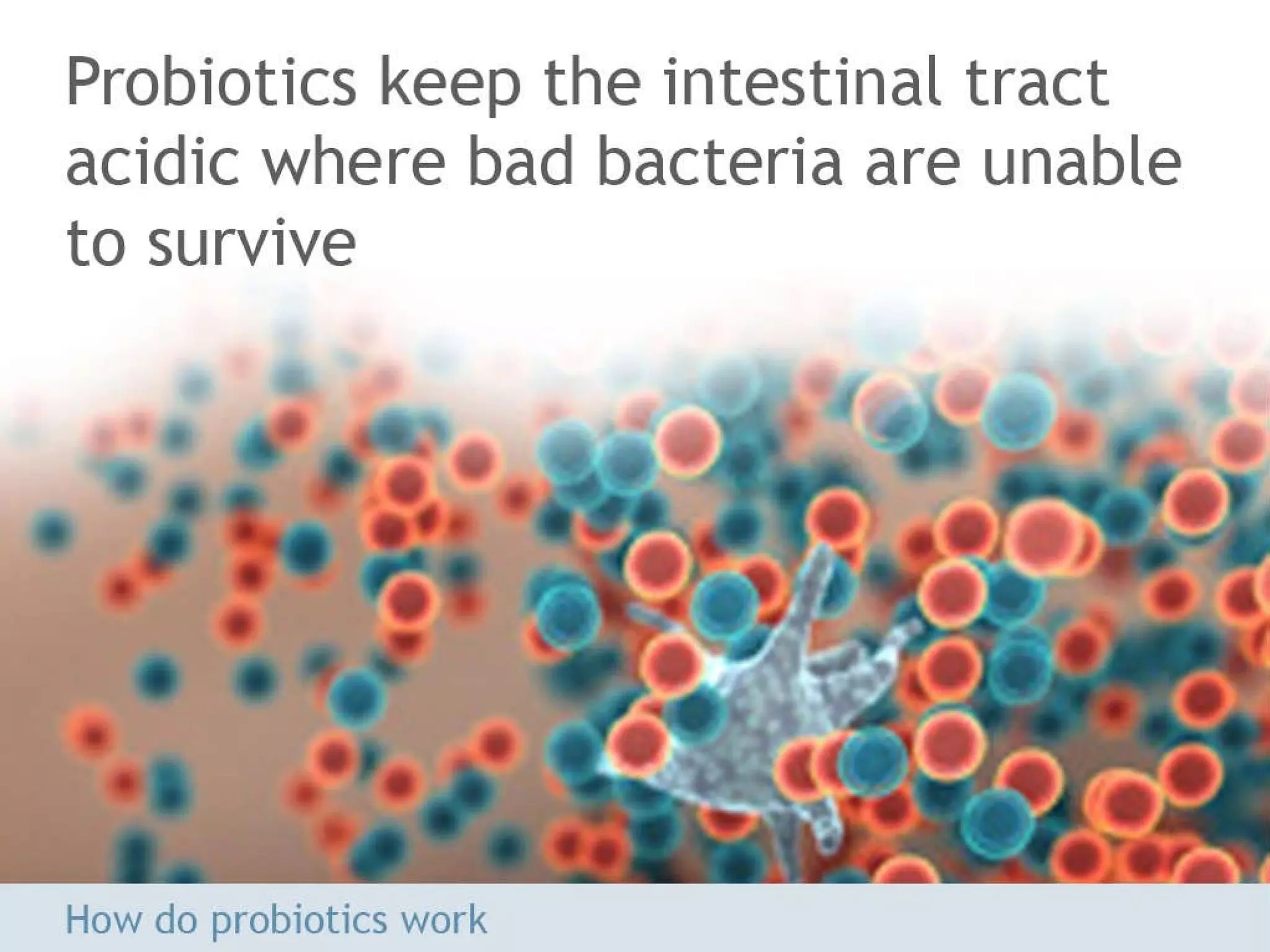 How probiotics work | PPT