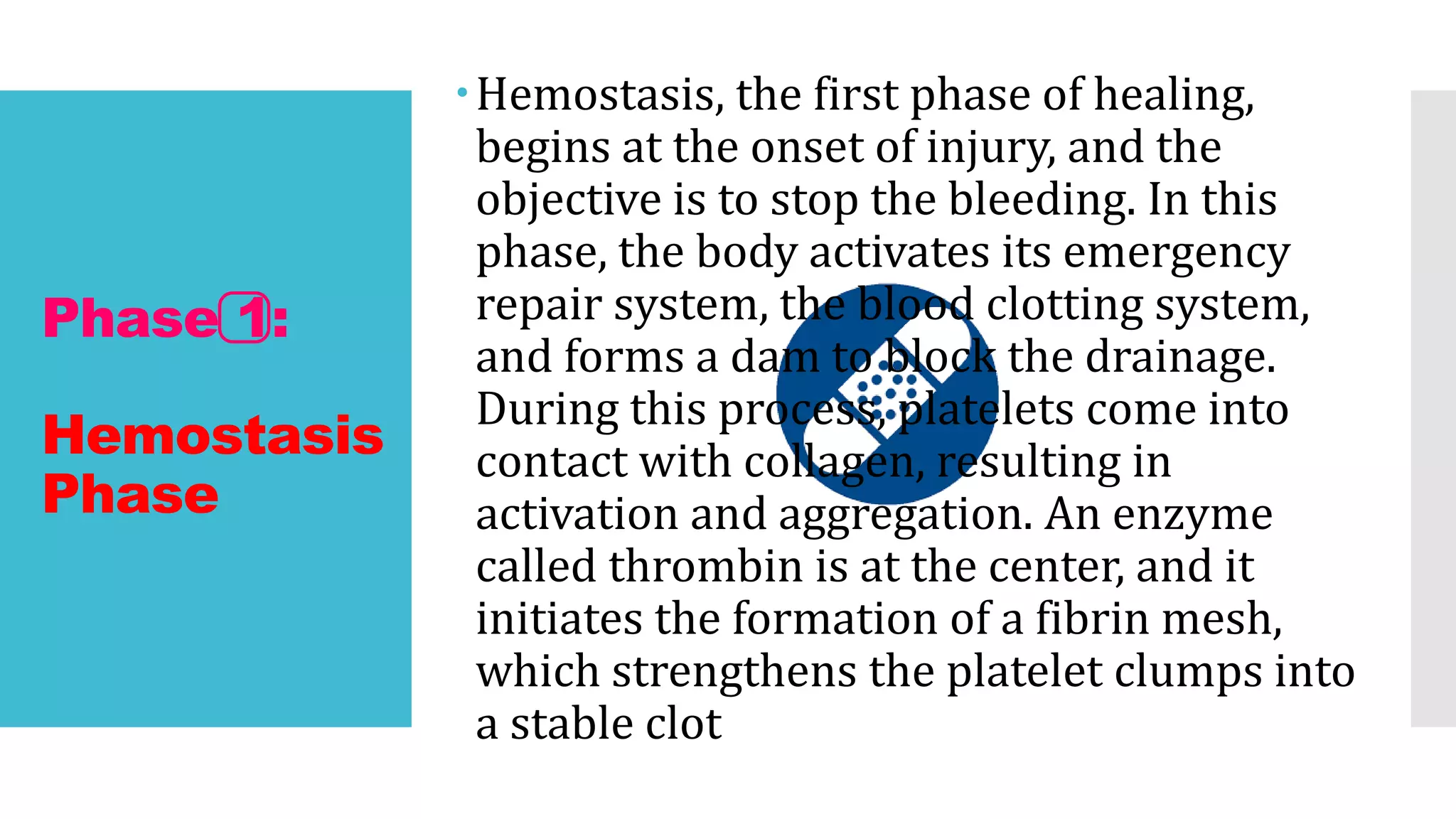 How wound heal process- a brief medical study | PPT
