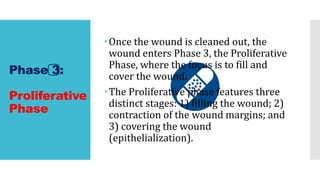 How wound heal process- a brief medical study | PPT