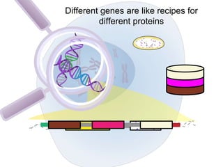 Oh, that's how you make a cake! The fundamentals of going from gene to ...