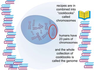 Oh, that's how you make a cake! The fundamentals of going from gene to ...