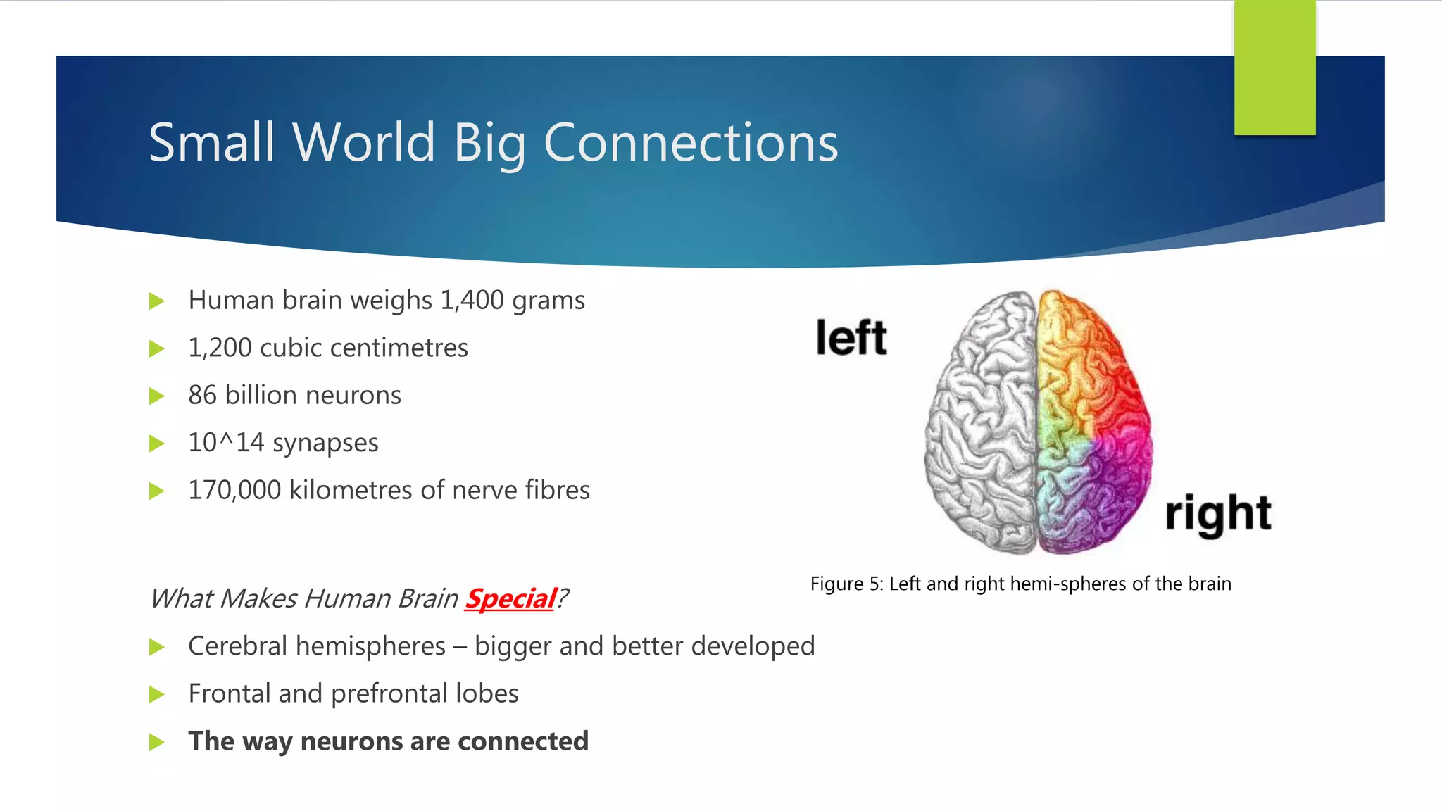 Book Review of 'How Your Brain Works' | PPTX