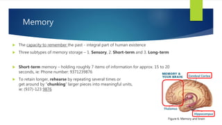 Book Review of 'How Your Brain Works' | PPTX