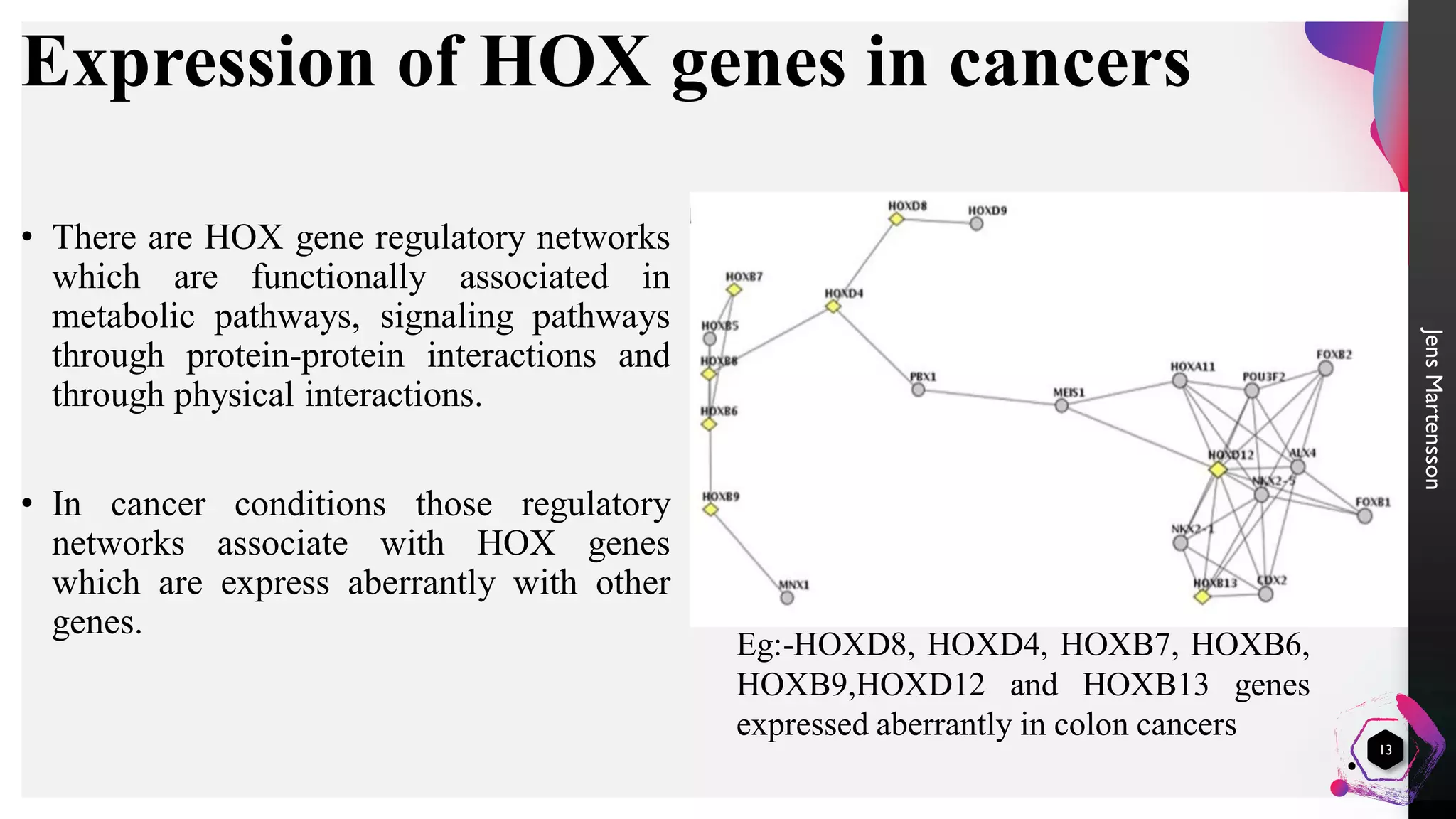 Hox genes and their role in cancers. | PPT