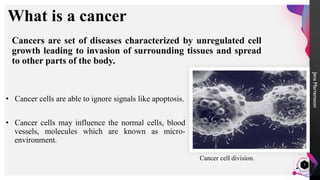 Hox genes and their role in cancers. | PPT