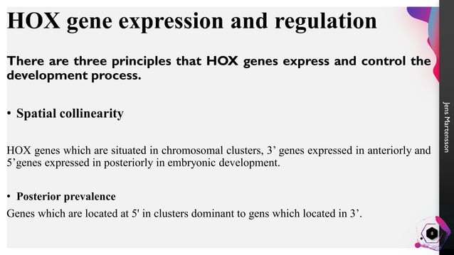 Hox genes and their role in cancers. | PPT