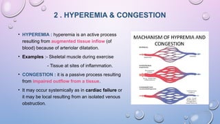 HP-13 &14 disturbance of circulation .pptx