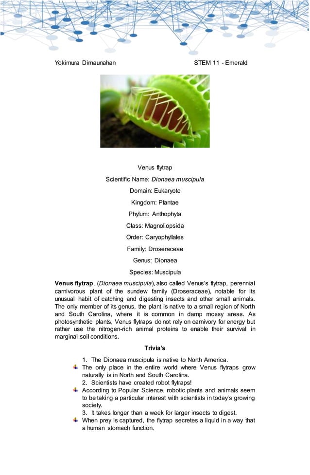 Venus flytrap and Philippine Eagle | PDF