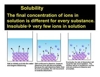 Lecture 18.3- Solubility | PDF