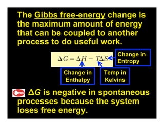 Lecture 18.4- Free Energy | PDF