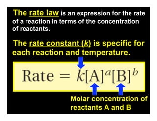 Lecture 18.5- rate laws | PDF