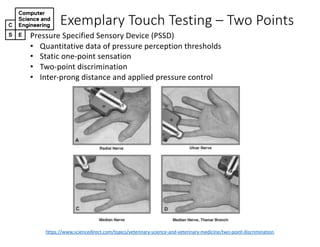 Hpai class 9 - recap and touch & interoception - 030420 | PDF