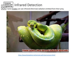 Hpai class slides 020419 | PPT