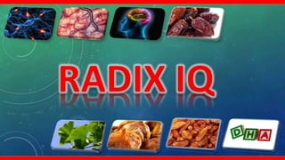 Hpa international radix iq | PPT