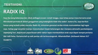 Hpa international radix iq | PPT