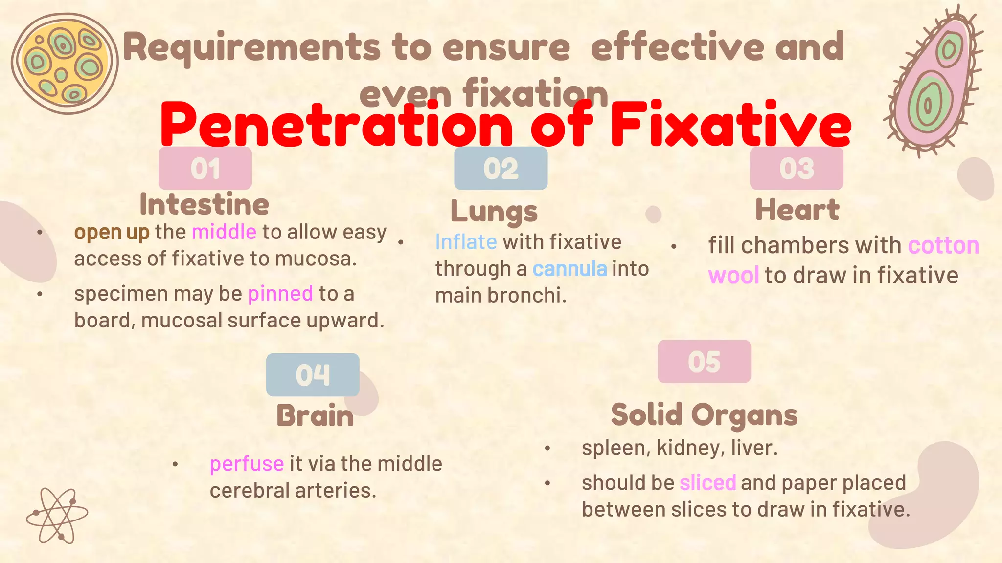 Histological Techniques: Perform Fixation and Tissue Processing | PDF
