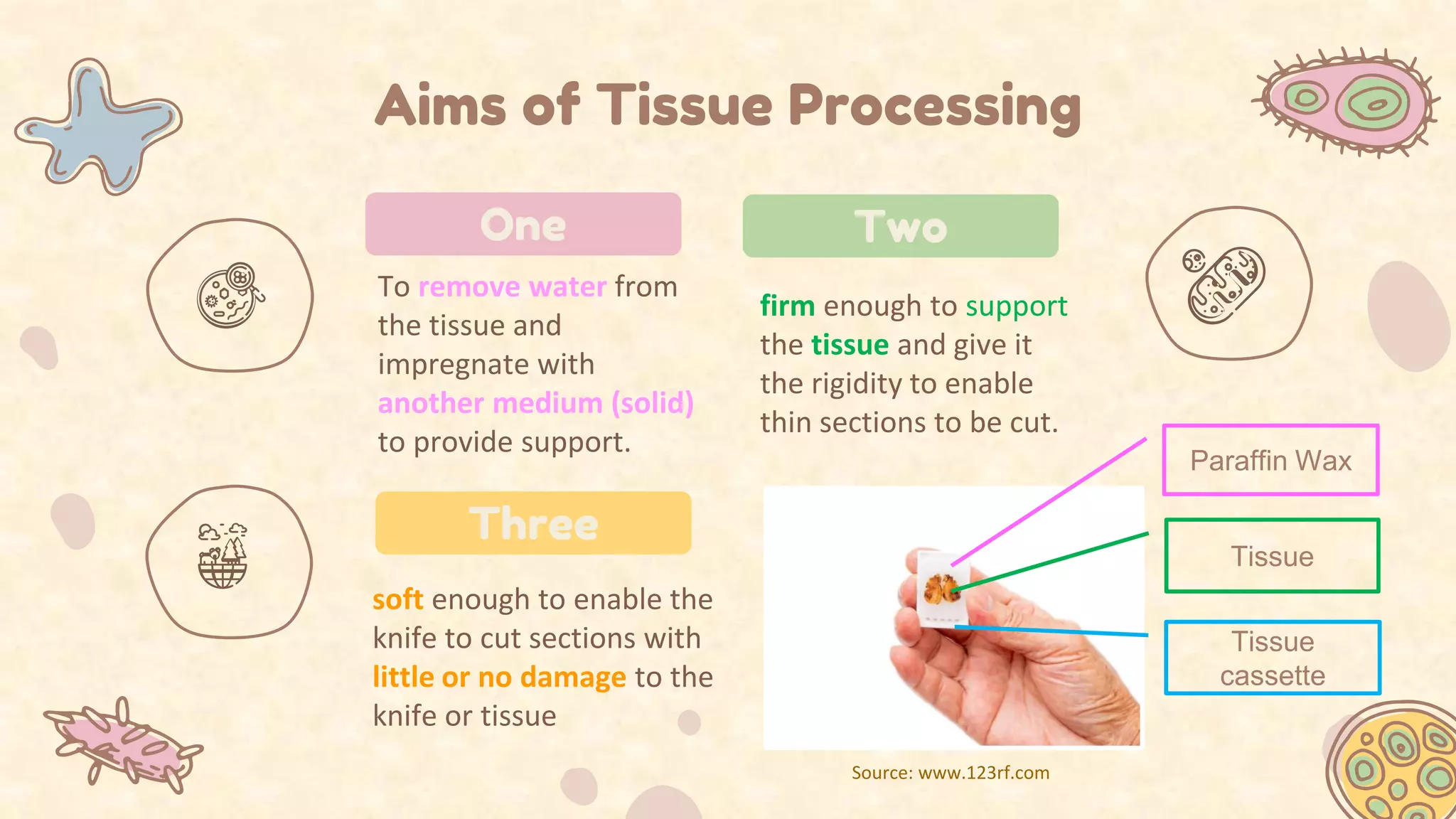 Histological Techniques: Perform Fixation and Tissue Processing | PDF