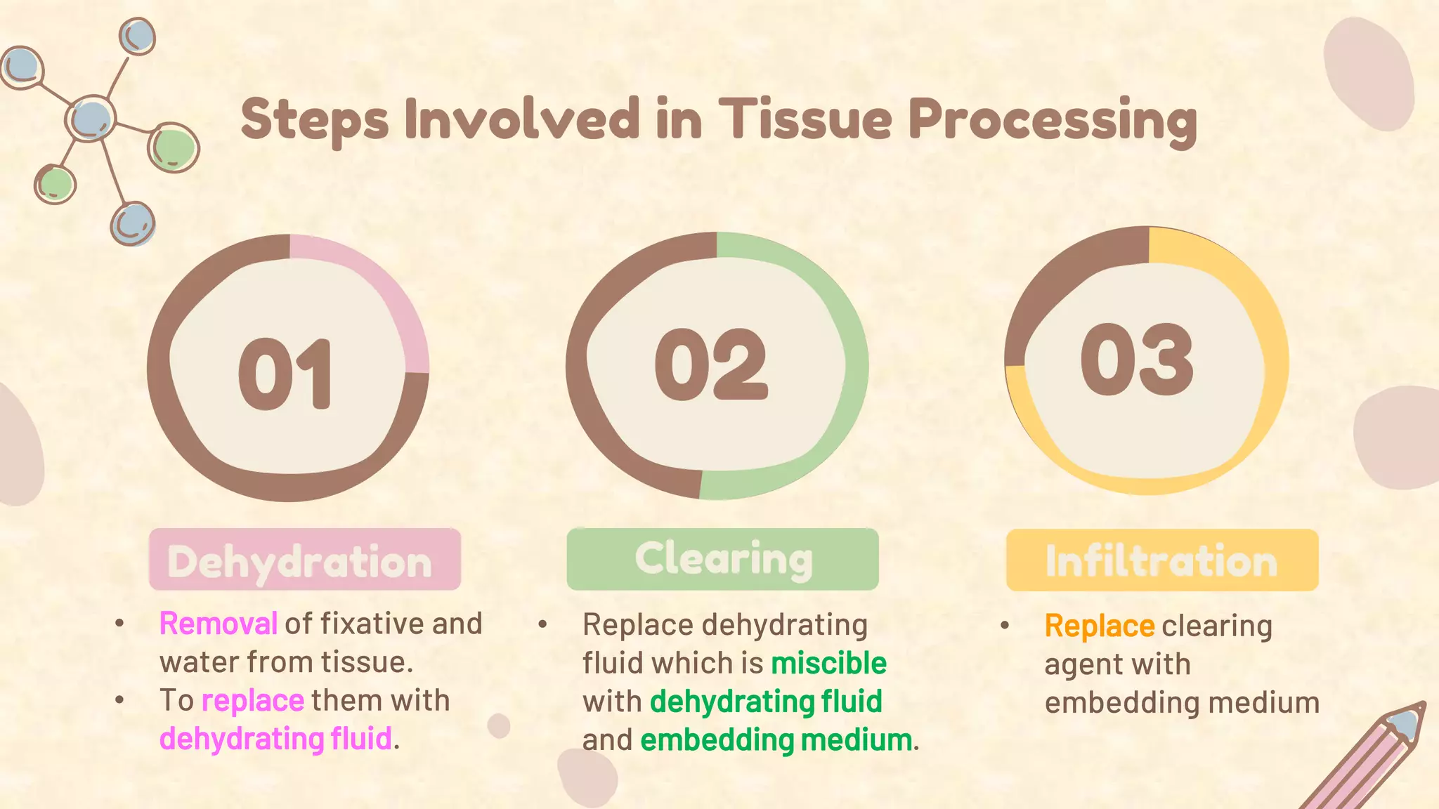 Histological Techniques: Perform Fixation and Tissue Processing | PDF
