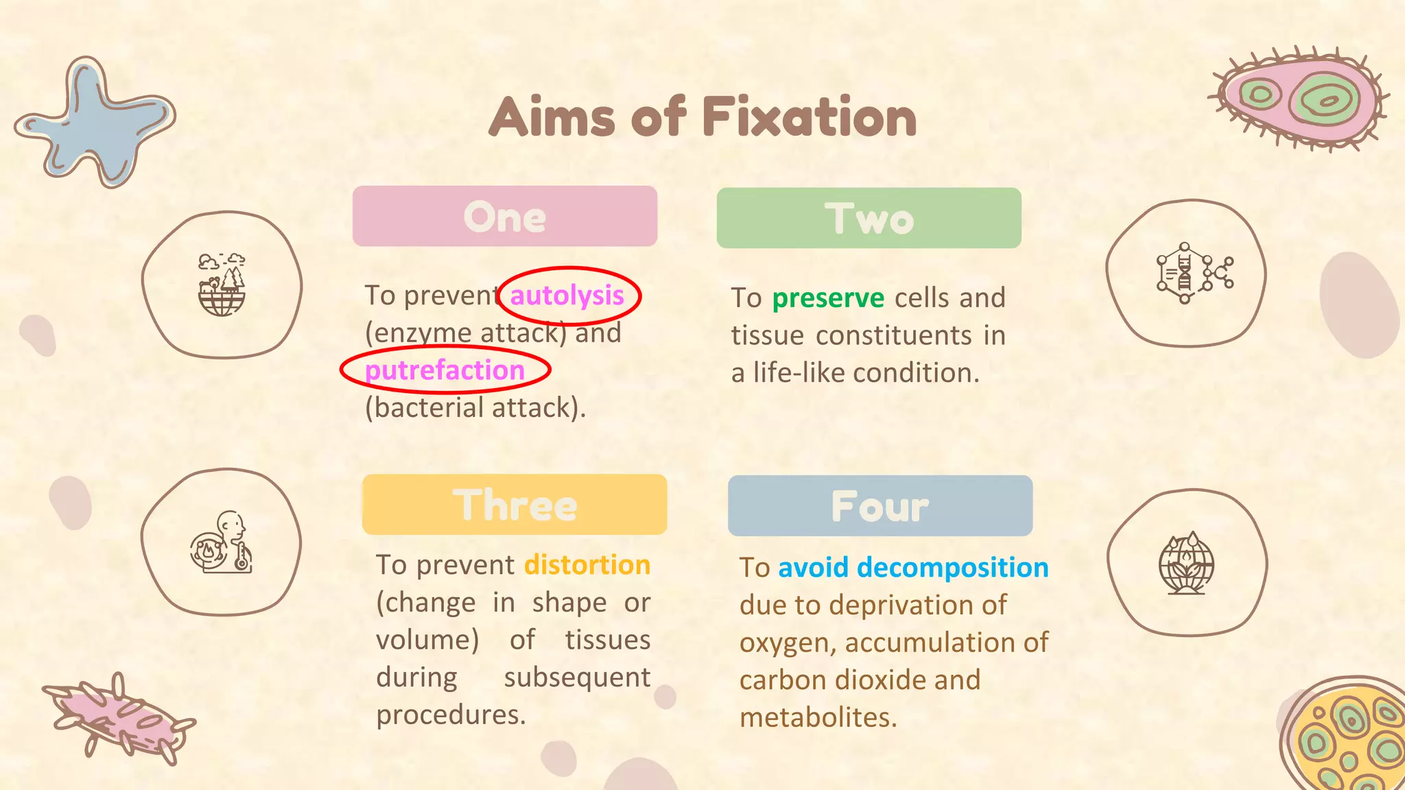 Histological Techniques: Perform Fixation and Tissue Processing | PDF