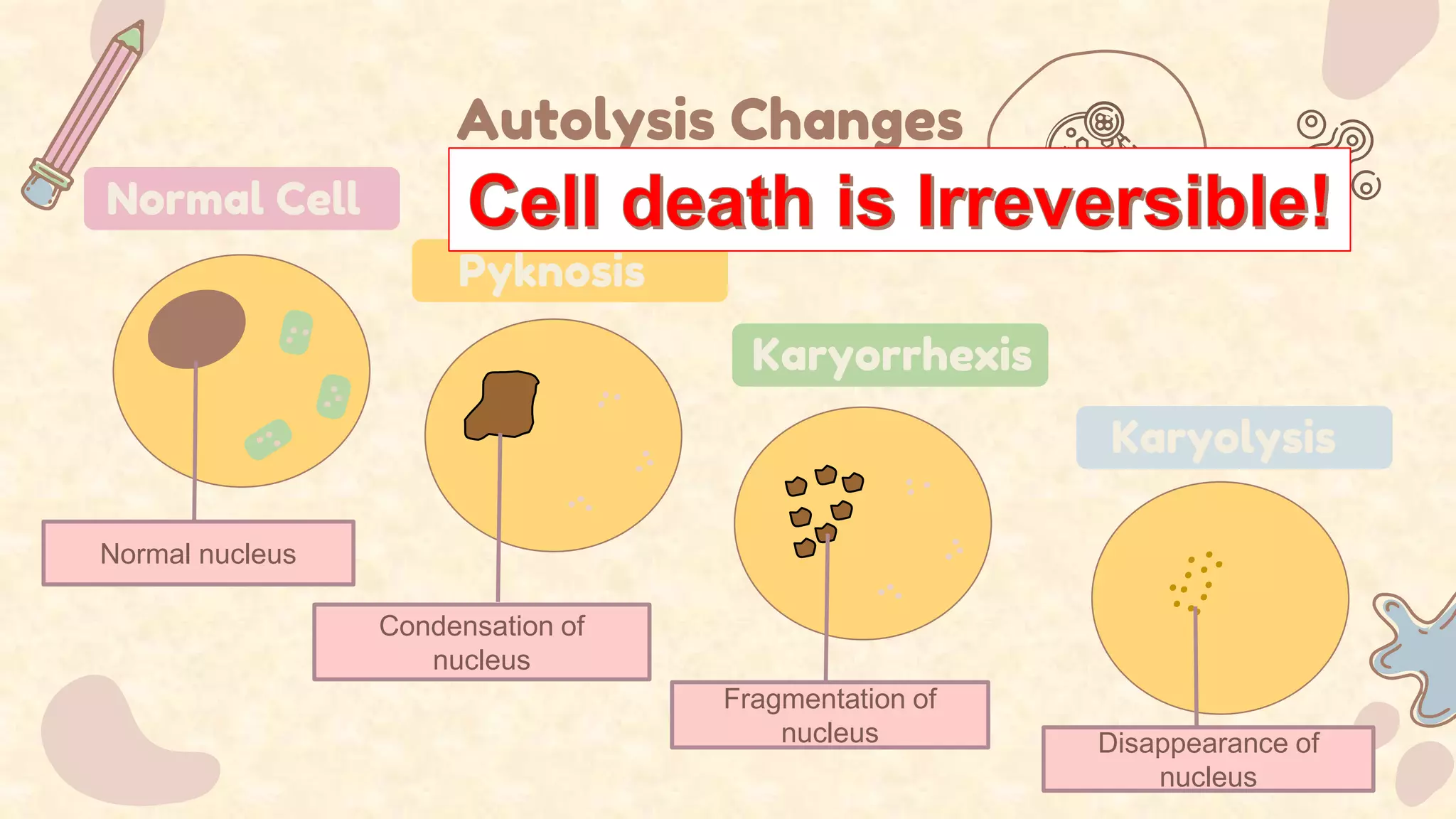 Histological Techniques: Perform Fixation and Tissue Processing | PDF