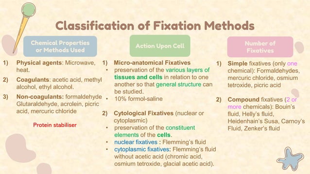 Histological Techniques: Perform Fixation and Tissue Processing | PDF