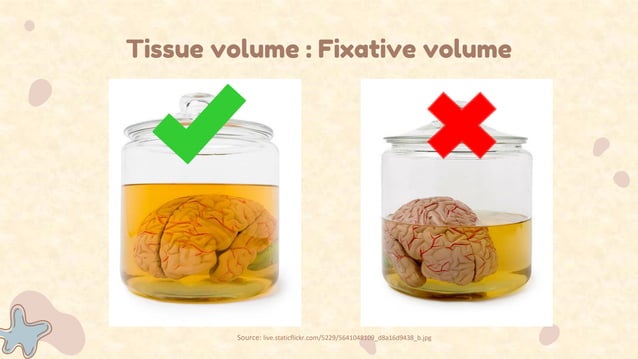 Histological Techniques: Perform Fixation and Tissue Processing | PDF